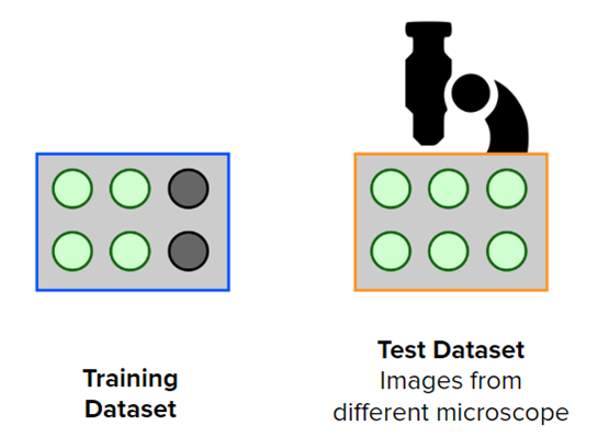 Robust Models | Alex Lu